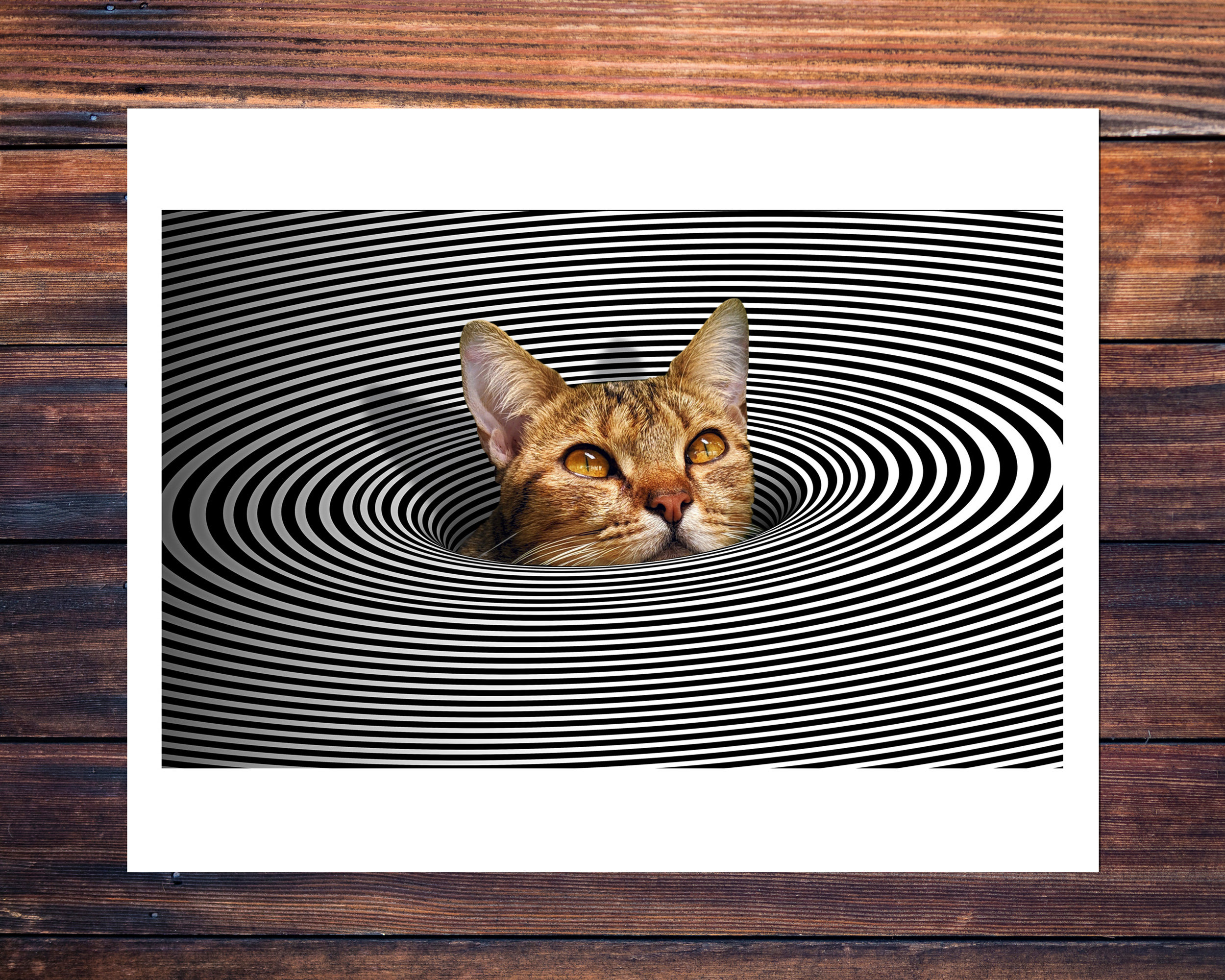 Trippy Art Print Cat Lover Art Illusion Art Cat Person - Etsy