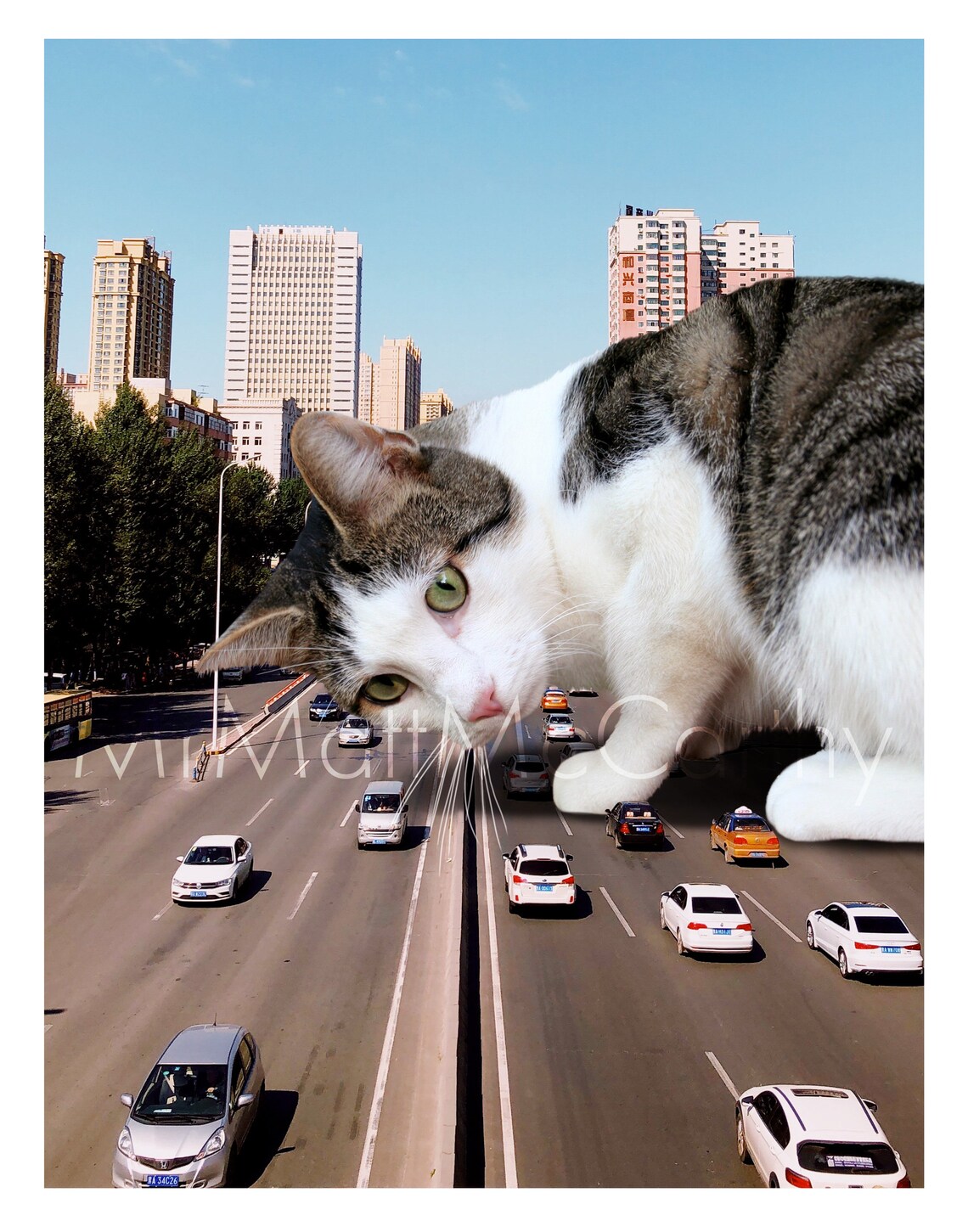 BIG CAT PRINT, Giant Cat Art, Car Art Print, Surreal Wall Art, Hong ...