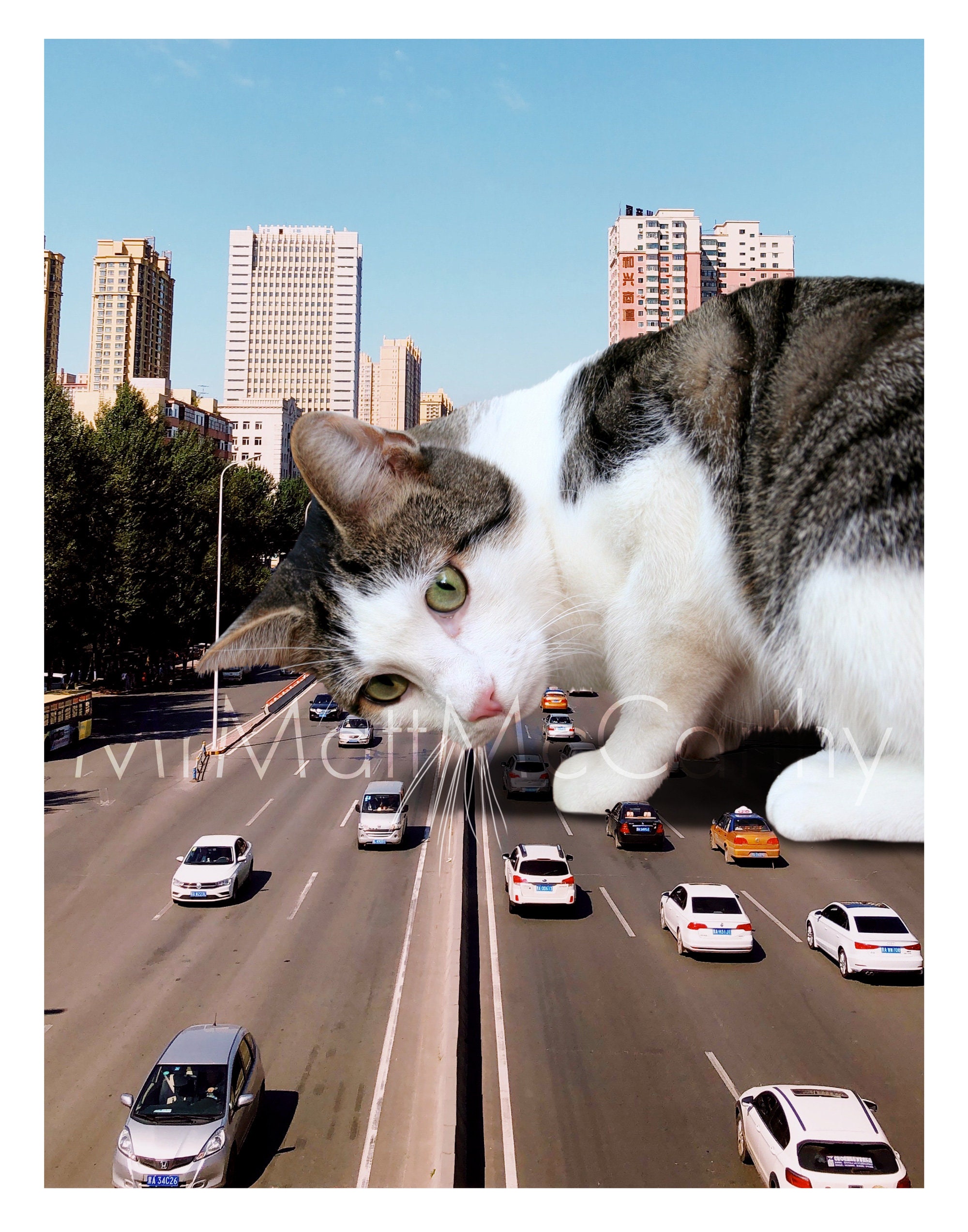 BIG CAT PRINT Giant Cat Art Car Art Print Surreal Wall Art - Etsy