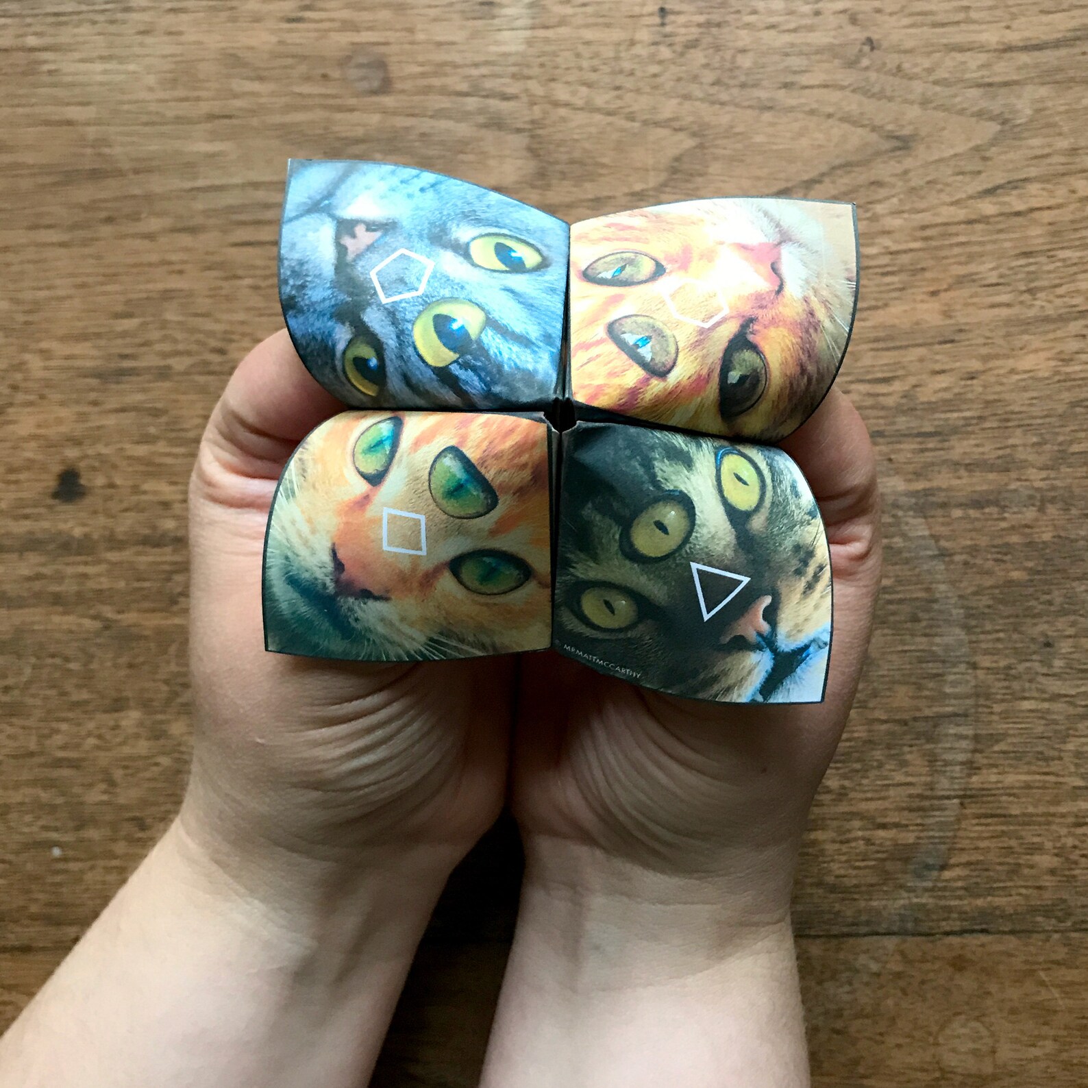 Printable Cat Fortune Teller Origami Cat Cootie Catcher - Etsy