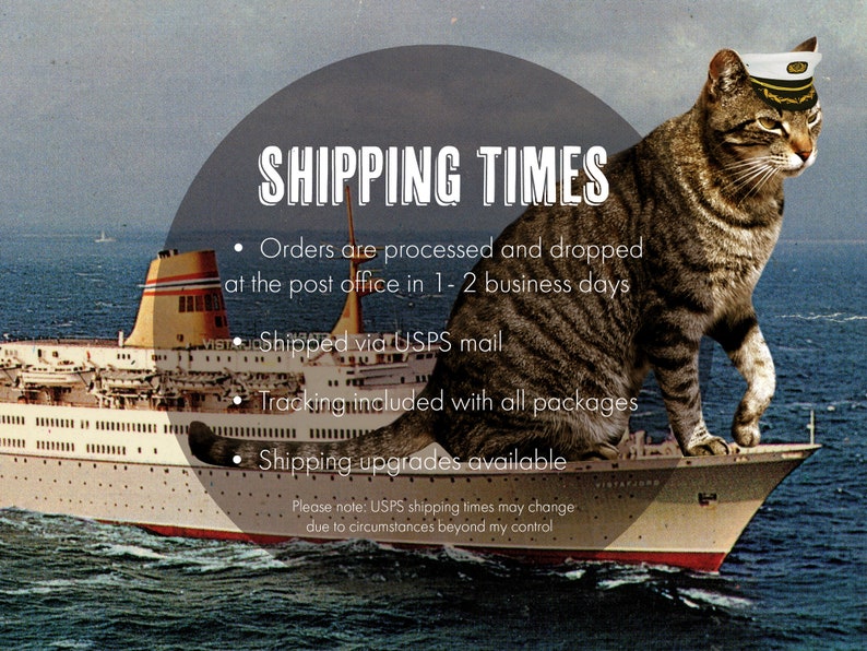 Hong Kong Street Cat, Travis Jam Print, Gray Cat, Green Eyes, Hong Kong ...