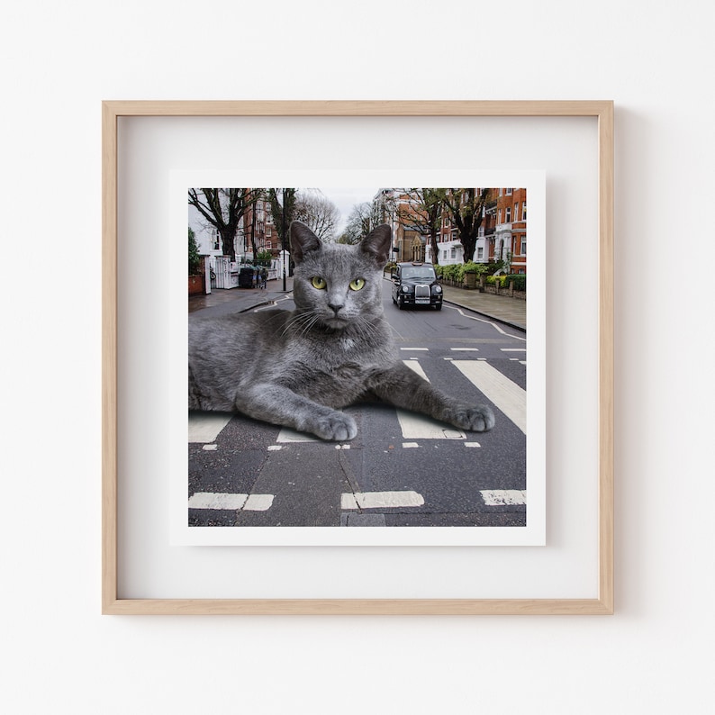 Abbey Road Cat Art Print, the Beatles Wall Art, Cat Lover Gift, Gray ...