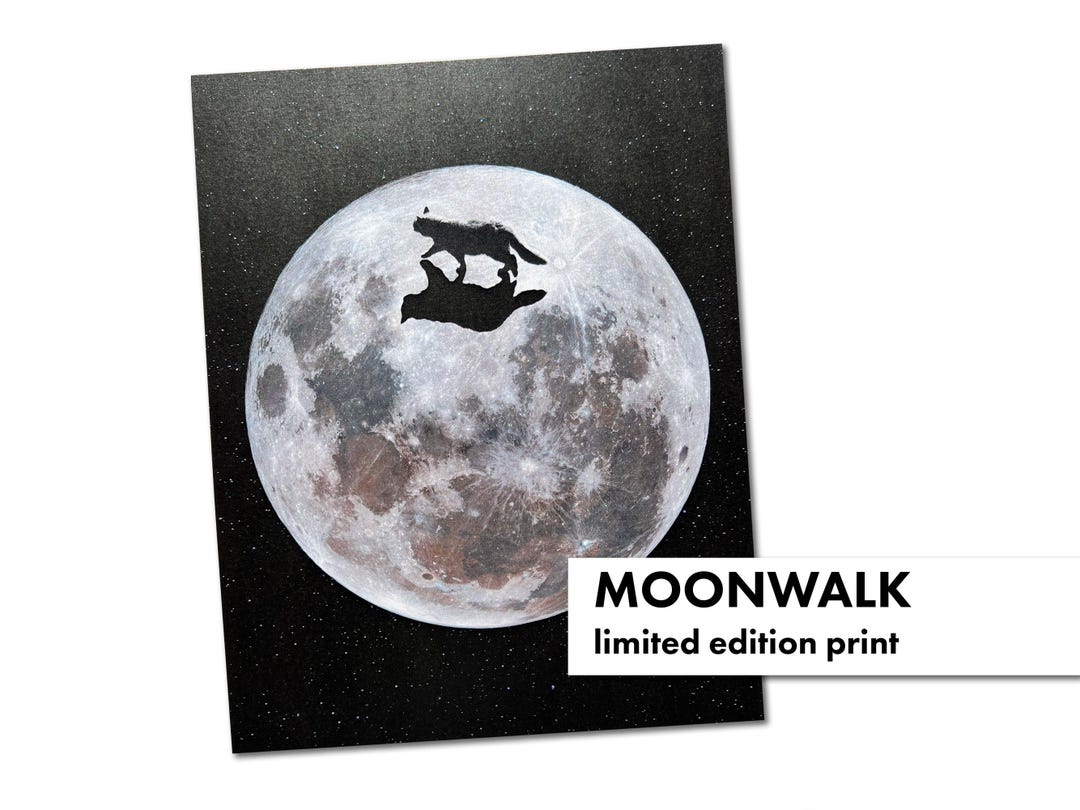 Moonwalk Limited Edition Art Print, Full Moon, Cat Artwork, Space Wall ...