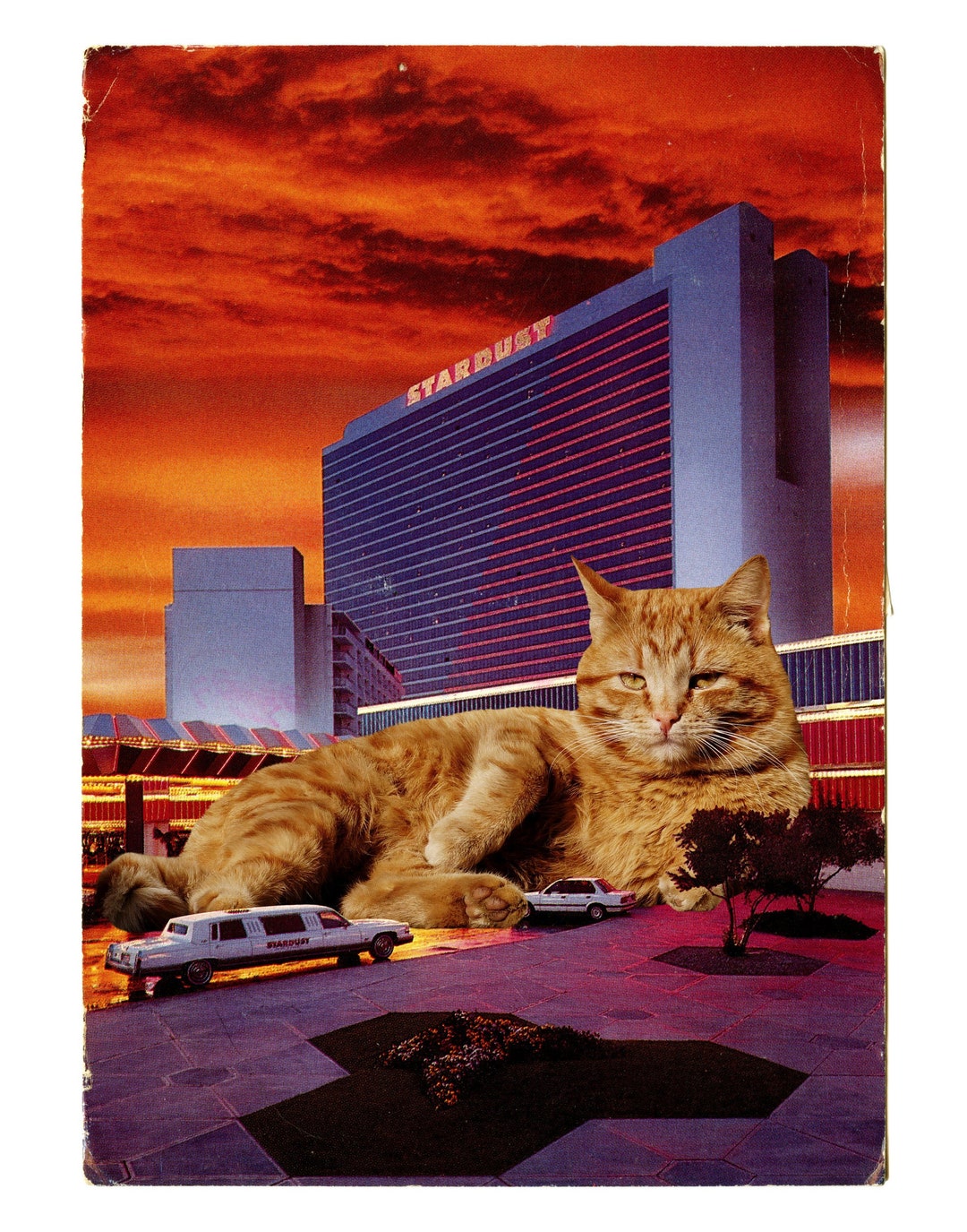 90s Cat Art Print, Las Vegas Art, Bachelorette Gift, Cat Decor, Cat ...