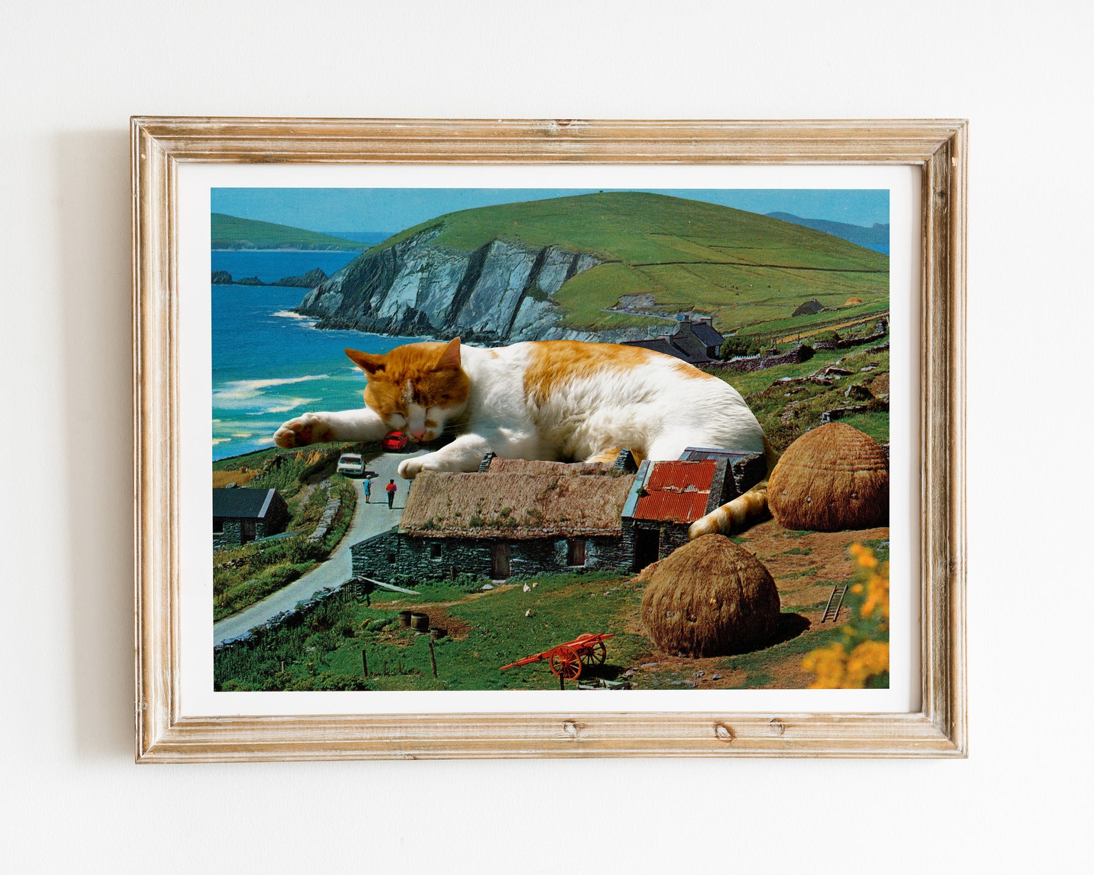 Ireland Cat Art Print Irish Dingle Cat Lover Gift Home - Etsy