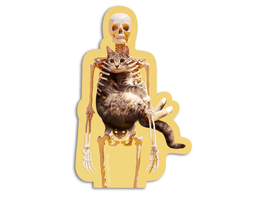 Skeleton Cat Sticker, Halloween Cat, Spooky, Kitty Cavity, Waterbottle ...