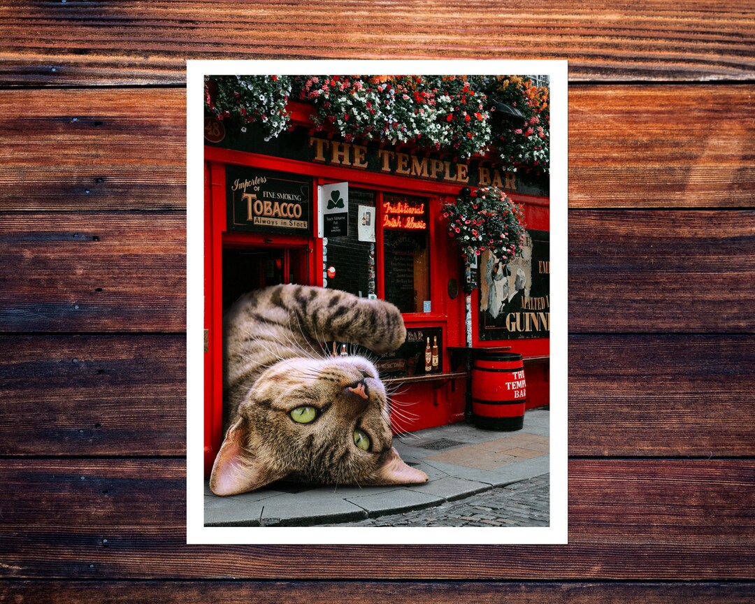 Dublin Cat Art Print, Temple Bar, Irish Pub Decor - Etsy
