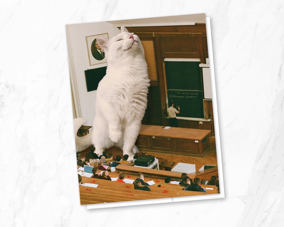 Teacher's Pet - Card for Teacher, Teacher Gift Ideas, White Cat Card ...