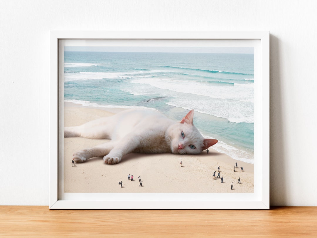 Beach Cat Art Print, Cat Gift Idea, Sleeping Cat, White Cat, Cat Lady ...