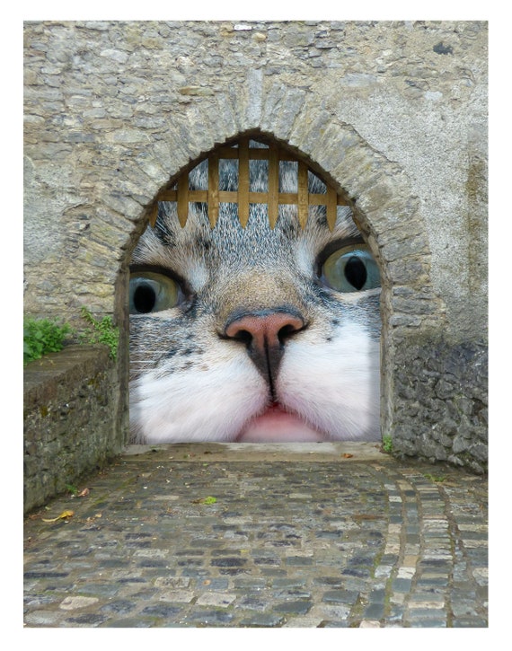 Cat Nose Art Print Castle Art Print Princess Decor Cat | Etsy