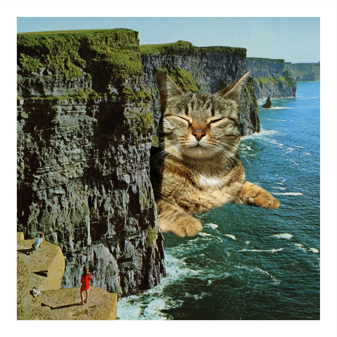 Ireland Cat Art Print, Cliffs of Moher, Seaside Art, Pub Decor, Irish ...