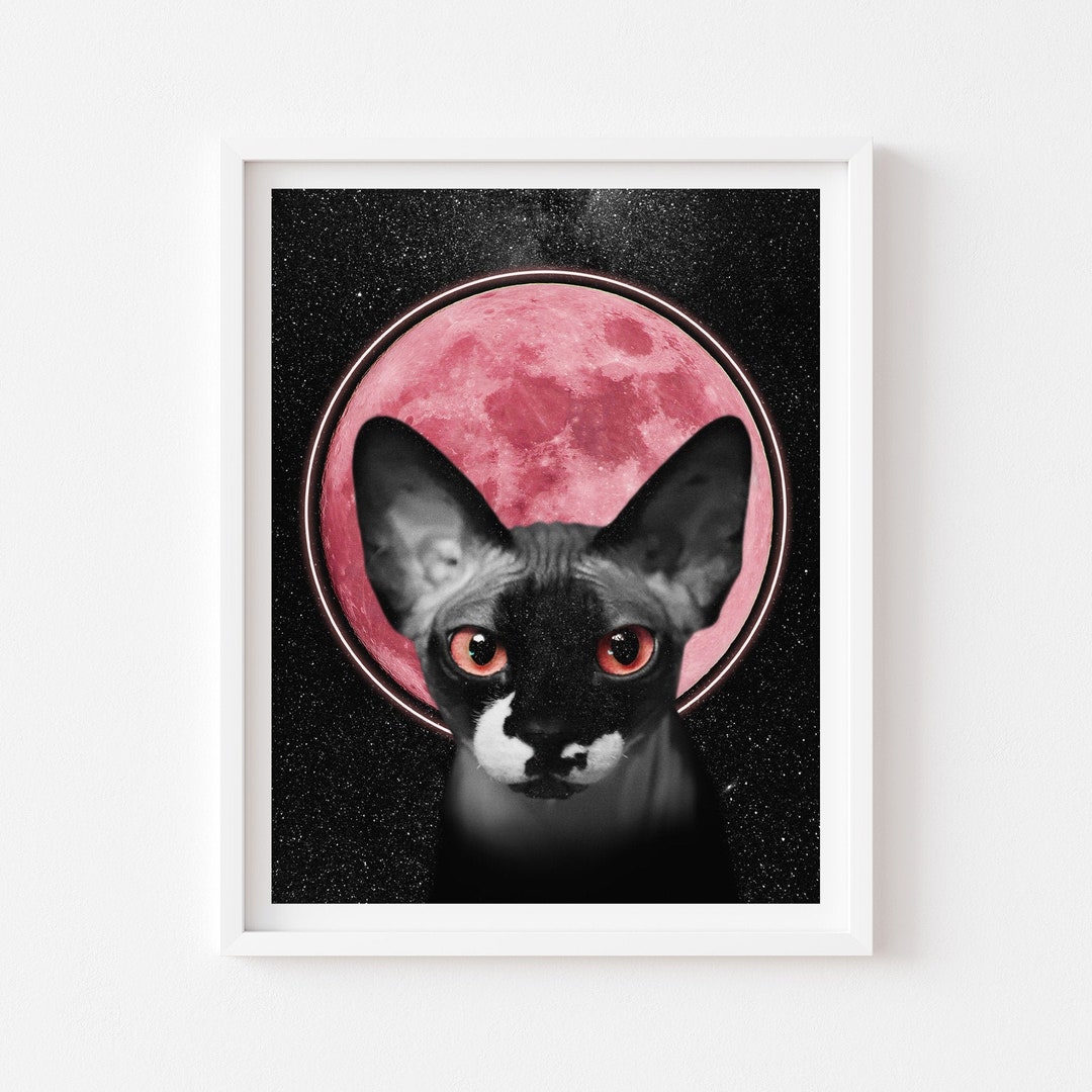 Sphynx Cat Art Print: Pink Moon Space Poster - Etsy