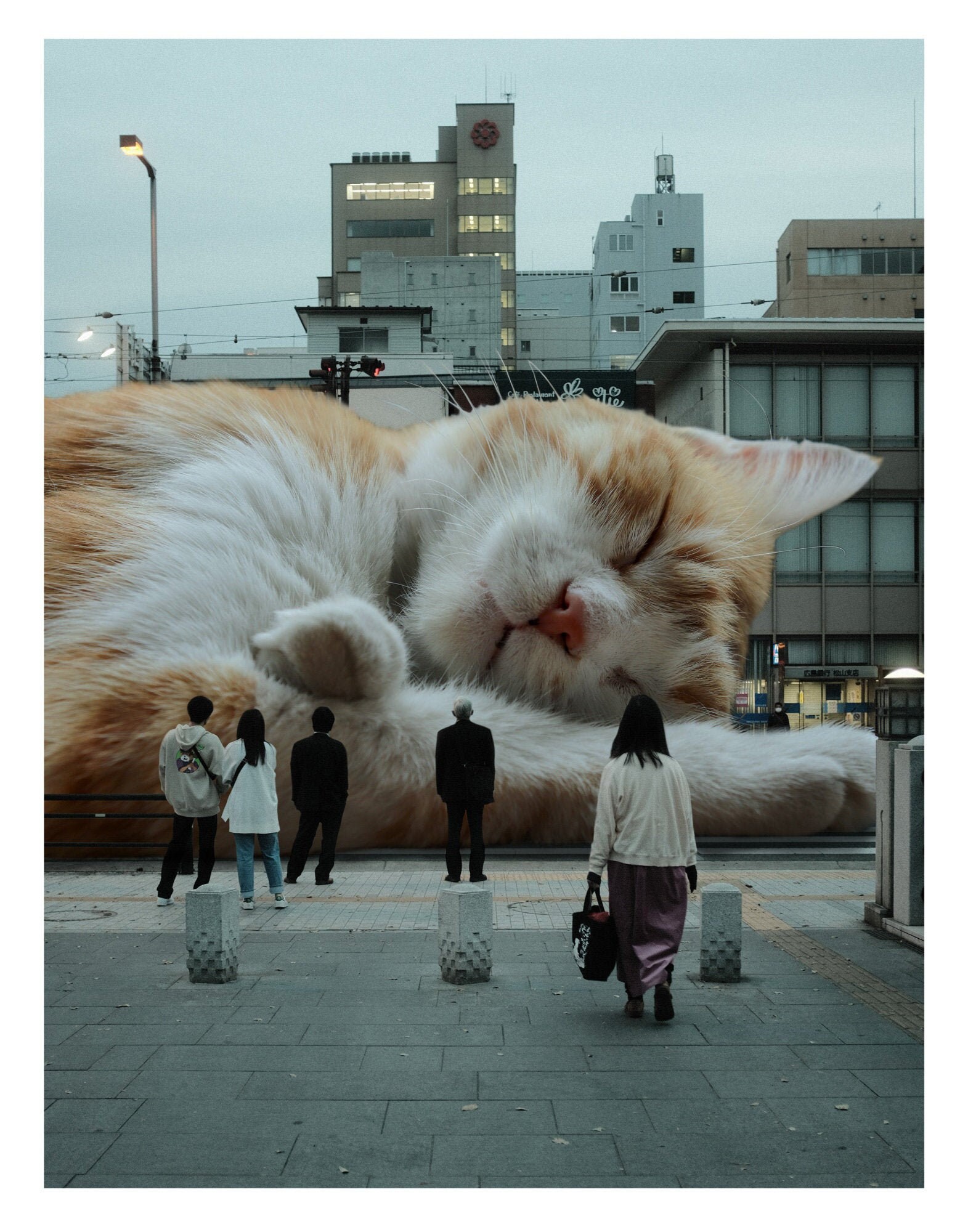 JAPANESE CAT PRINT Cat Gift Idea Sleeping Cat Tabby Cat - Etsy