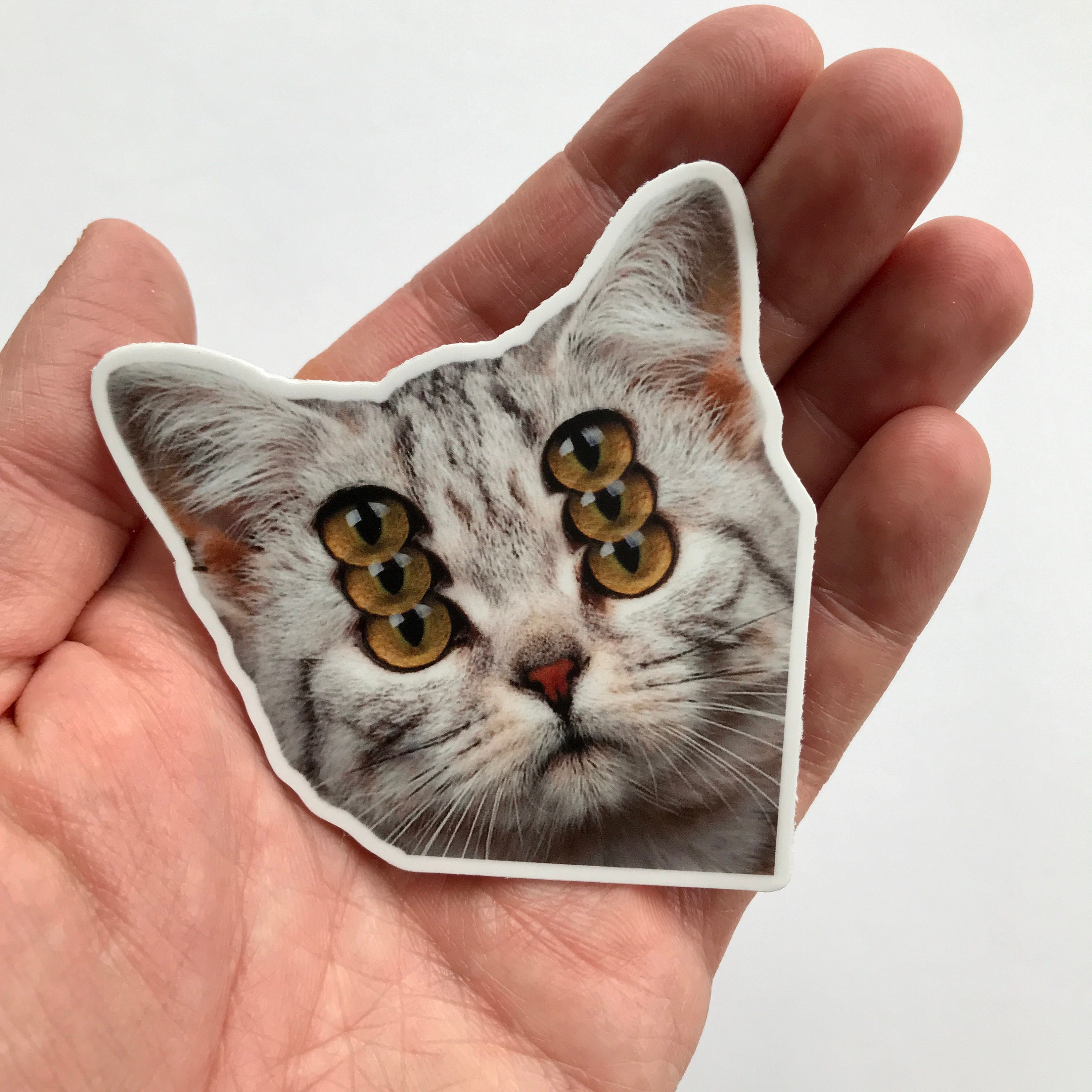 Weird Cat Sticker Weatherproof Vinyl Laptop Decal - Etsy