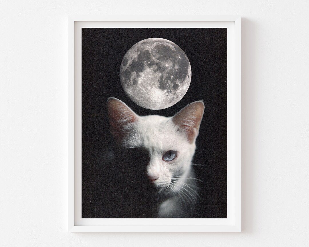 Cold Moon Art Print, Full Moon, White Cat, Vintage Space Artwork, Lunar ...