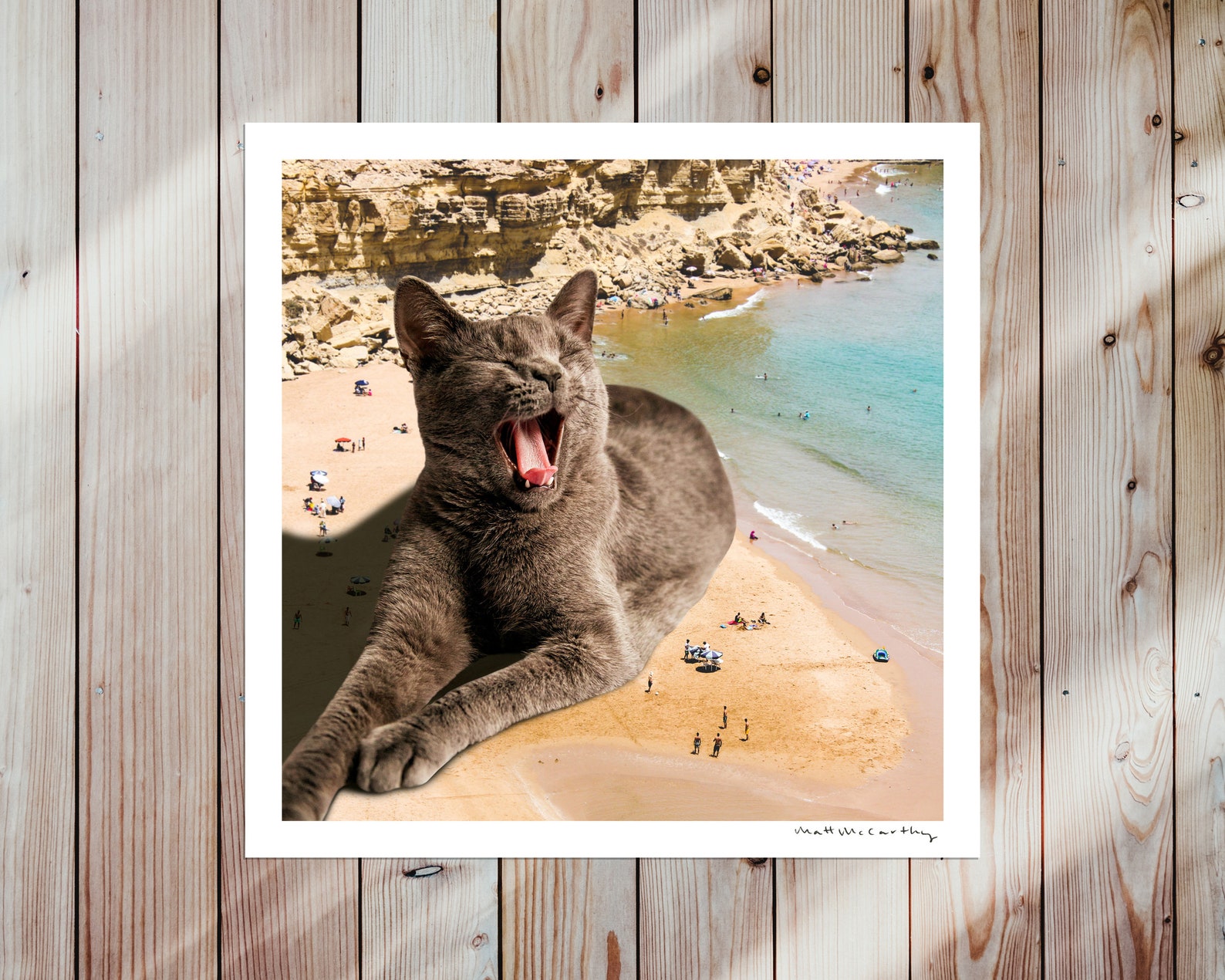 Beach Cat Wall Art Unusual Cat Art Cat Lover Birthday - Etsy