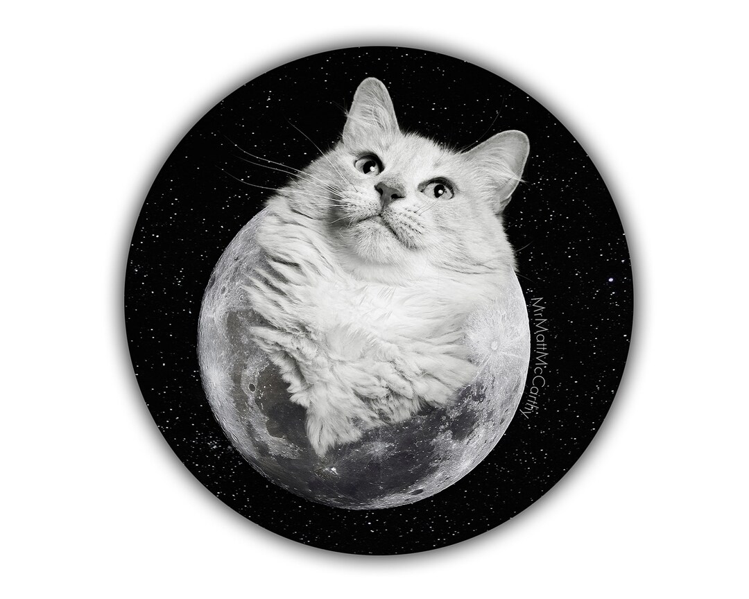 Full Moon Cat Sticker, White Cat, Black & White, Space Cat Sticker, Cat ...
