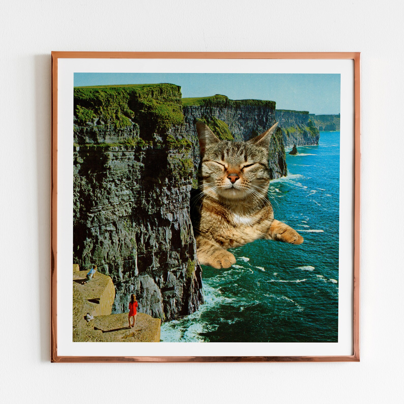 Ireland Cat Art Print, Cliffs of Moher, Seaside Art, Pub Decor, Irish ...
