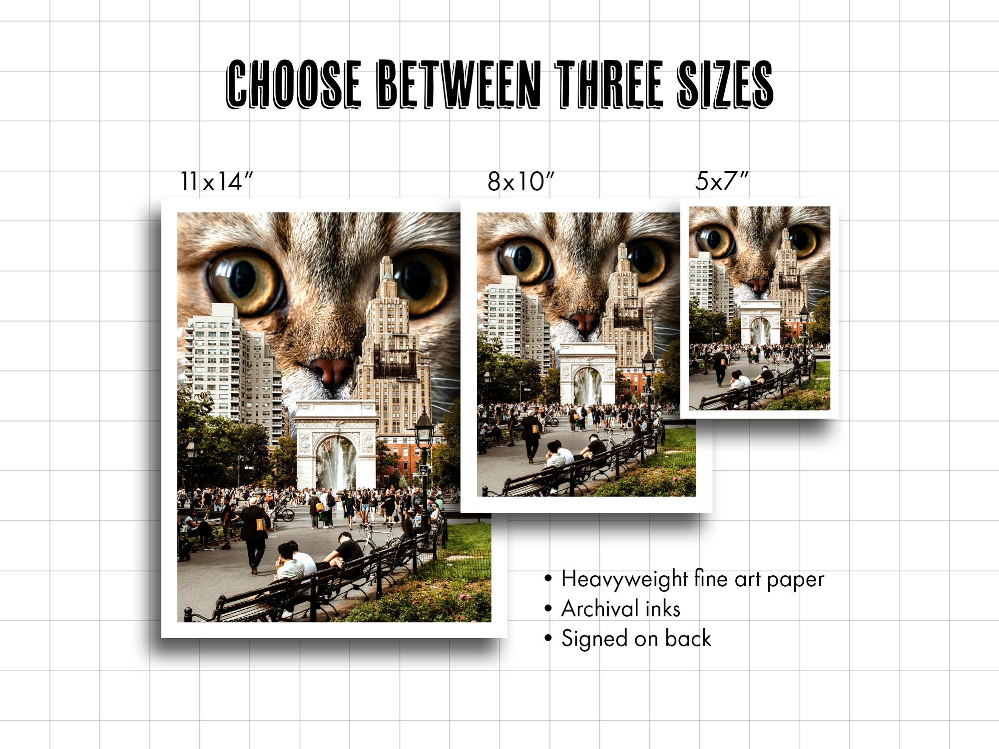 Washington Square Park NYU Cat Art Print - Etsy