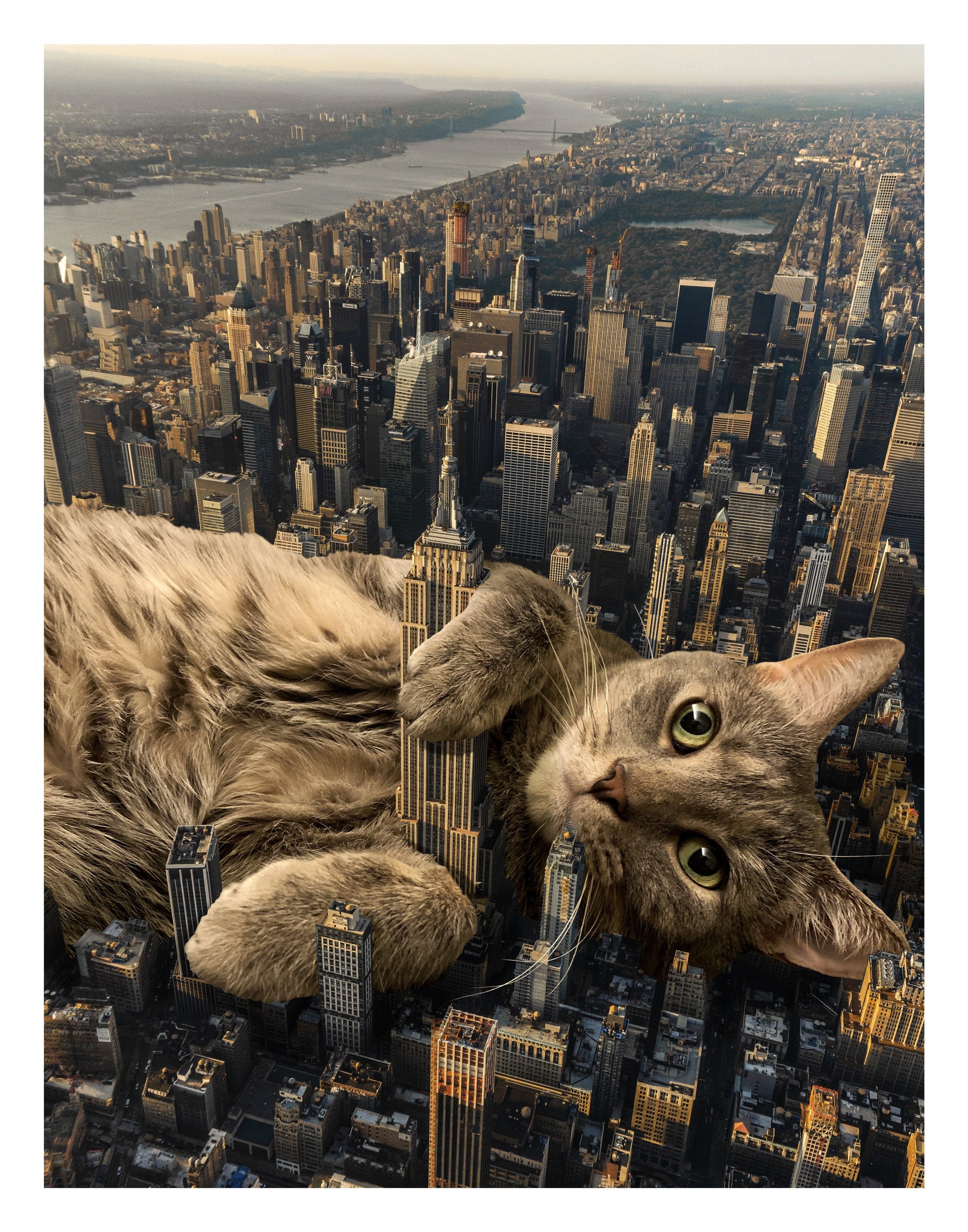 New York City Cat Art Print NYC Wall Art New York Poster - Etsy
