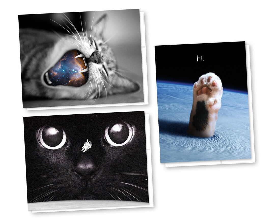 Space Cats 3 Card Set, Blank Note Cards With Envelopes, Space Lover ...
