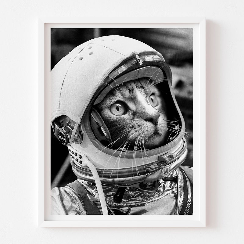 Nasa Astronaut Cat Shirt - Etsy