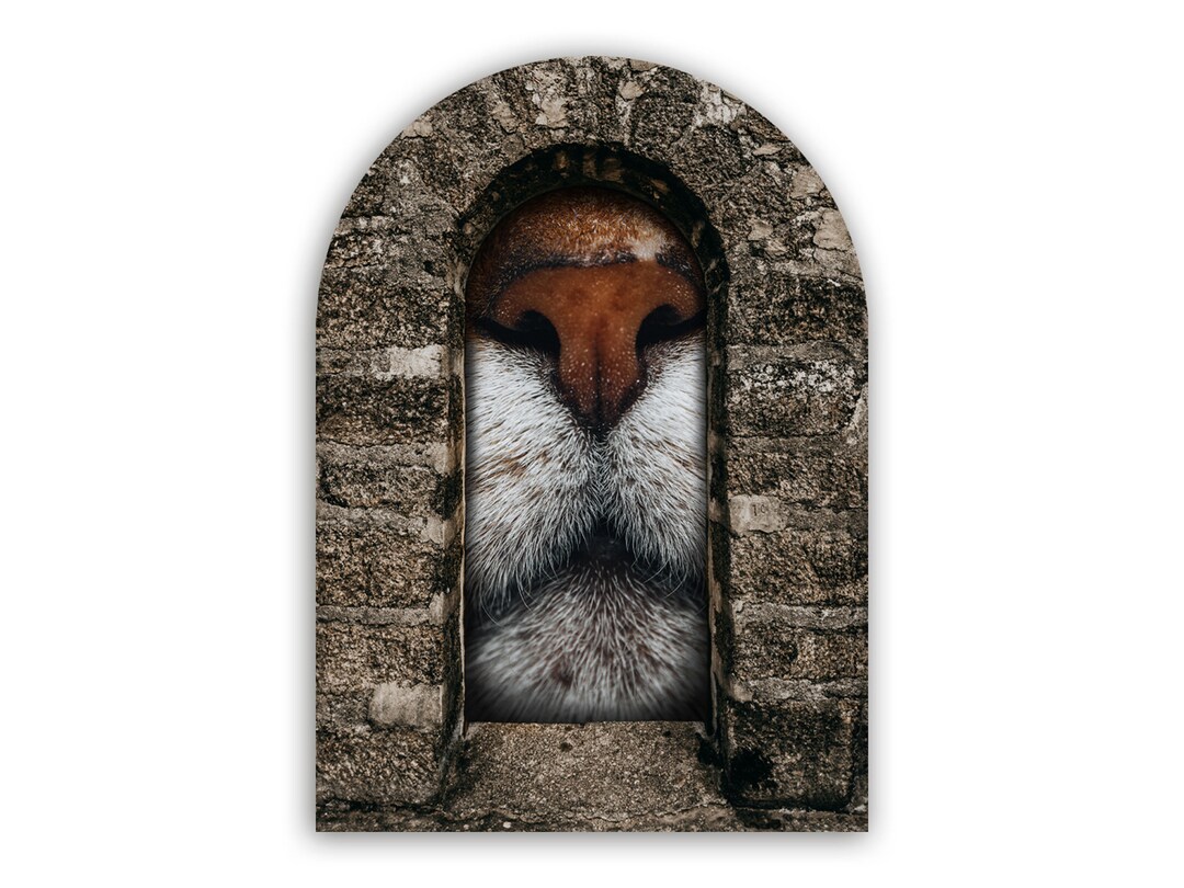 Nosy Cat Sticker, Boop the Snoot, Cute Cat, Die Cut Sticker ...