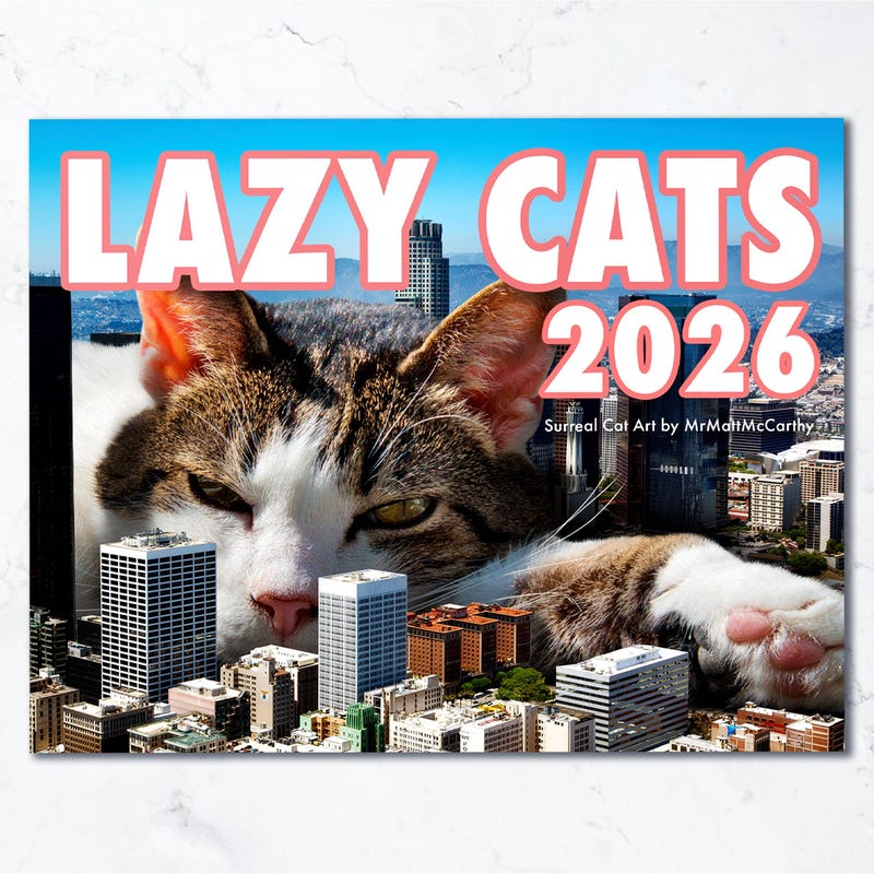 2026 Funny Cat Calendar - Etsy