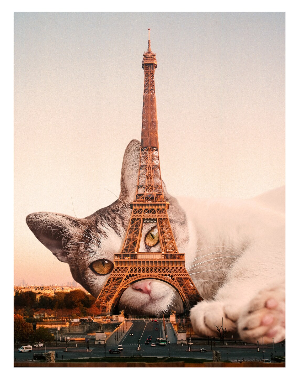 Paris Cat Art Print Eiffel Tower Print Paris Wall Art Cat | Etsy
