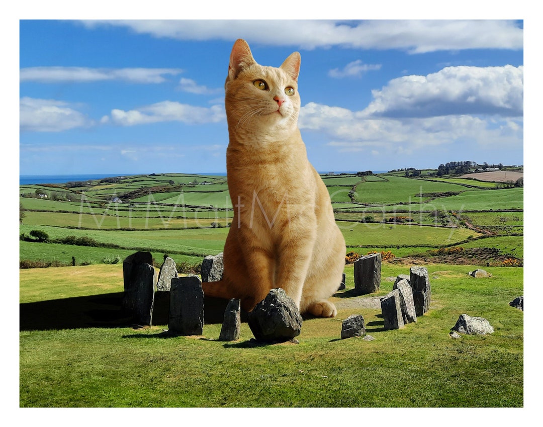 IRELAND CAT PRINT, Yellow Cat, Giclée Print, Mystical Art Print ...