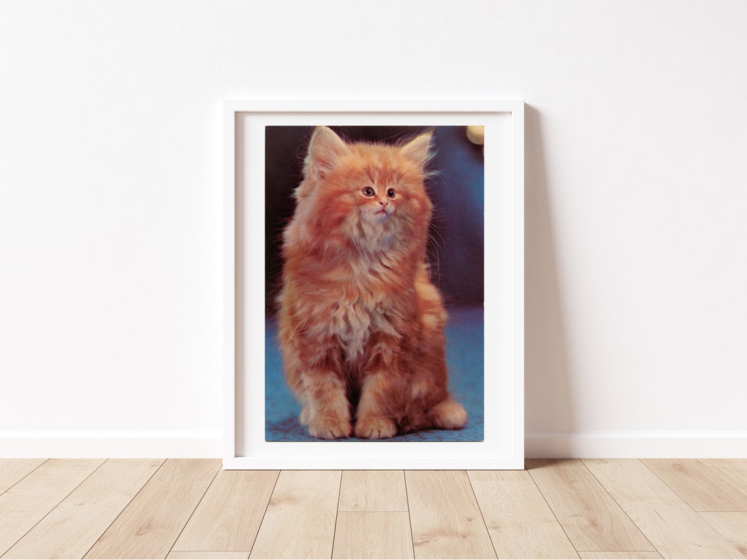 Unique Cat Art Print, Cat Wall Art, Surreal Cat, Quirky Gift Cat Lover ...
