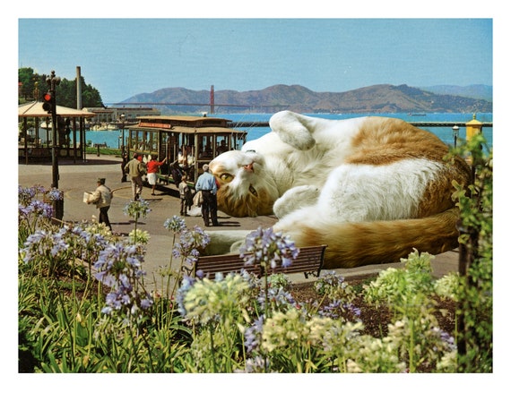 San Francisco Cat Art Print Golden Gate Bridge Vintage SF | Etsy