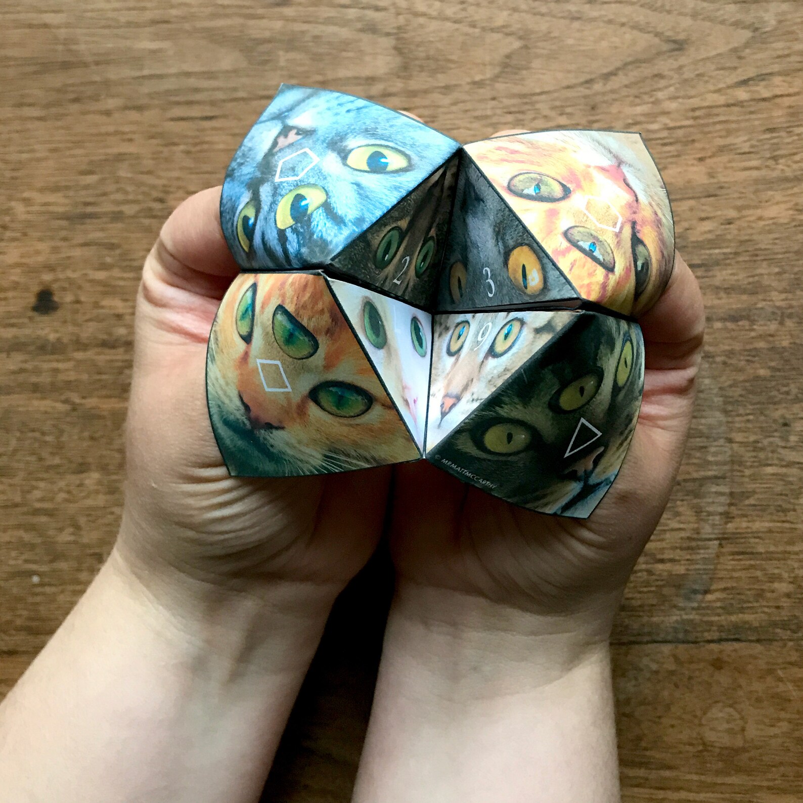 Printable Cat Fortune Teller Origami Cat Cootie Catcher - Etsy