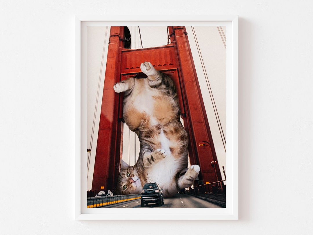 San Francisco Cat Print, Golden Gate Print, Housewarming, Lazy Cat ...