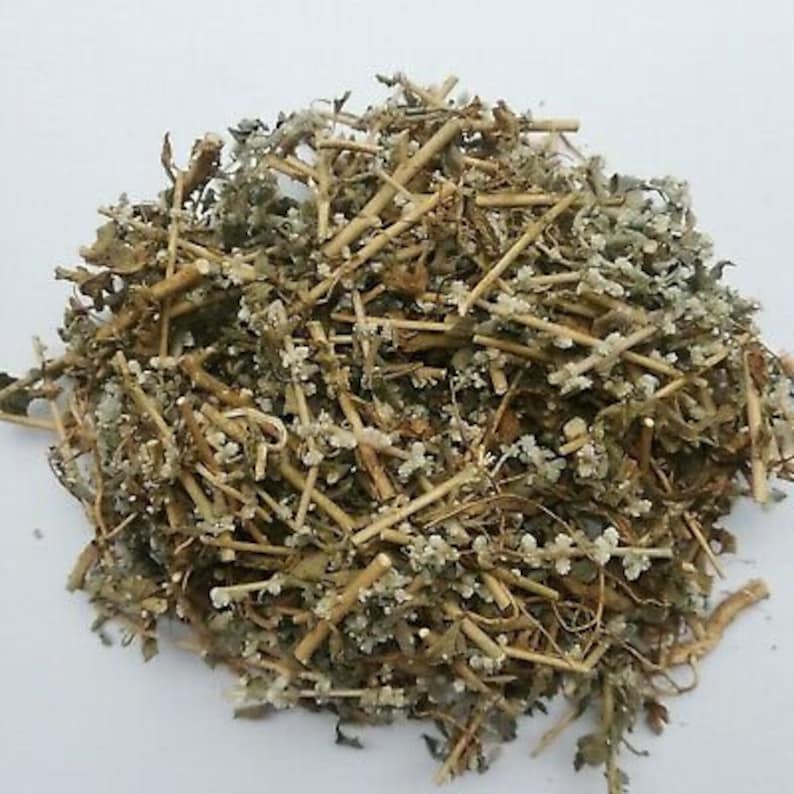 Mountain Knotgrass Aerva Lanata Polpala Herbal Tea Dried Plant - Etsy