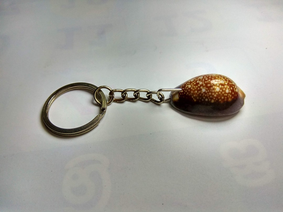 Ocean Resin Sea Shell Keyring Cowrie Shell Keyring, Eco Friendly. Beachy, Boho, Surfers Keychain ...
