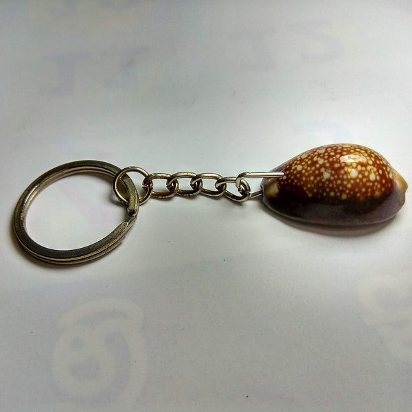 Sea Shell Keychain - Etsy