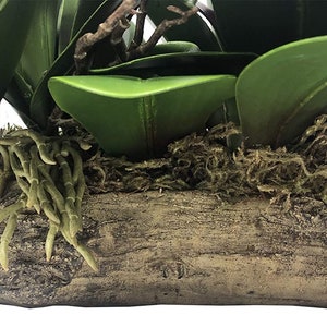 Artificial Orchids Centerpiece in Resin Pot Simulating a Branch of a ...