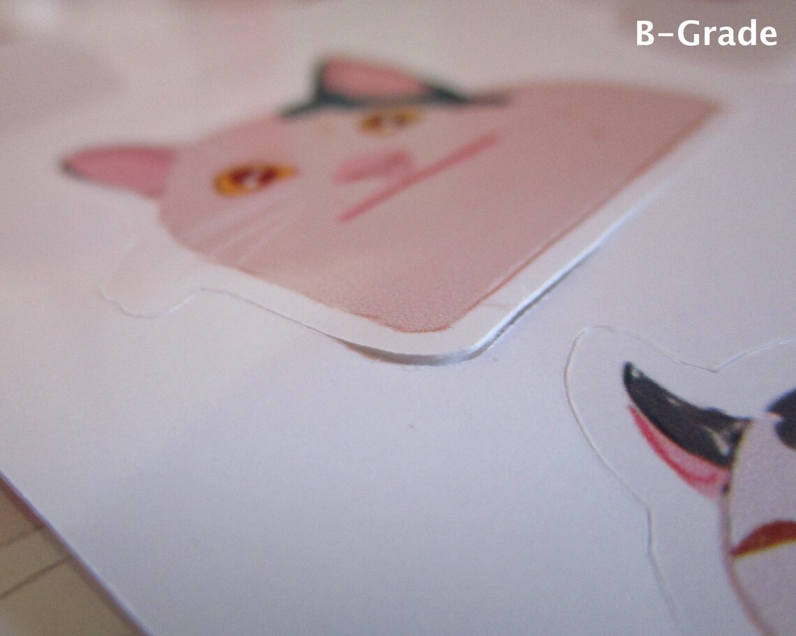 Meme Cat Sticker Sheet - Etsy