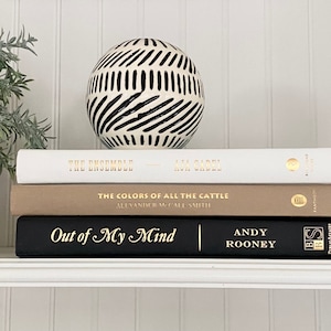 Modern Bookshelf Decor: Neutral Book Decor, Hardcover Books in Black ...