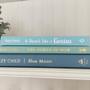 Aqua & Teal Decorative Book Stack: Bookshelf Decor - Etsy