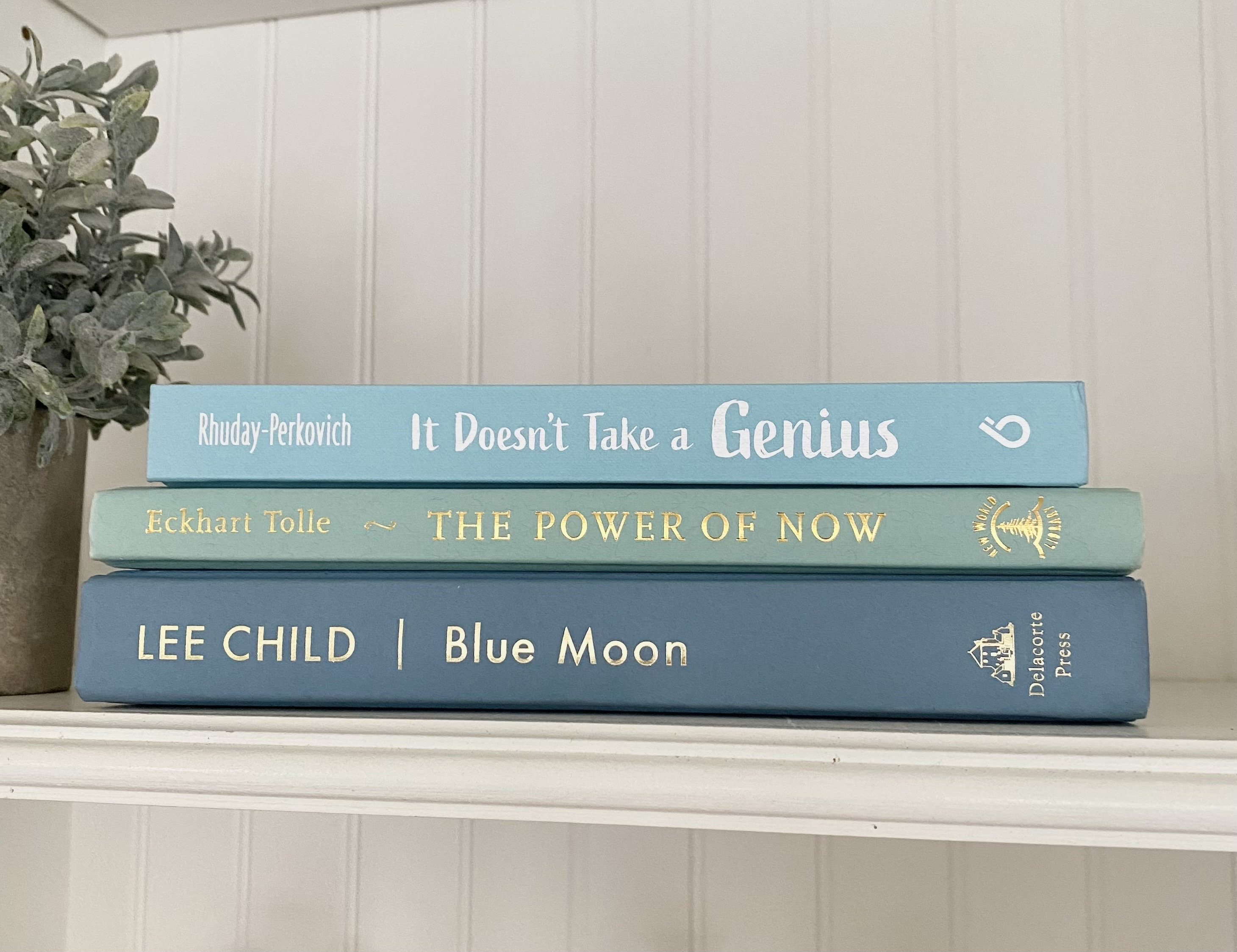 Beachy Blue Bookshelf Decor: Shades of Blue Books for Home Office ...