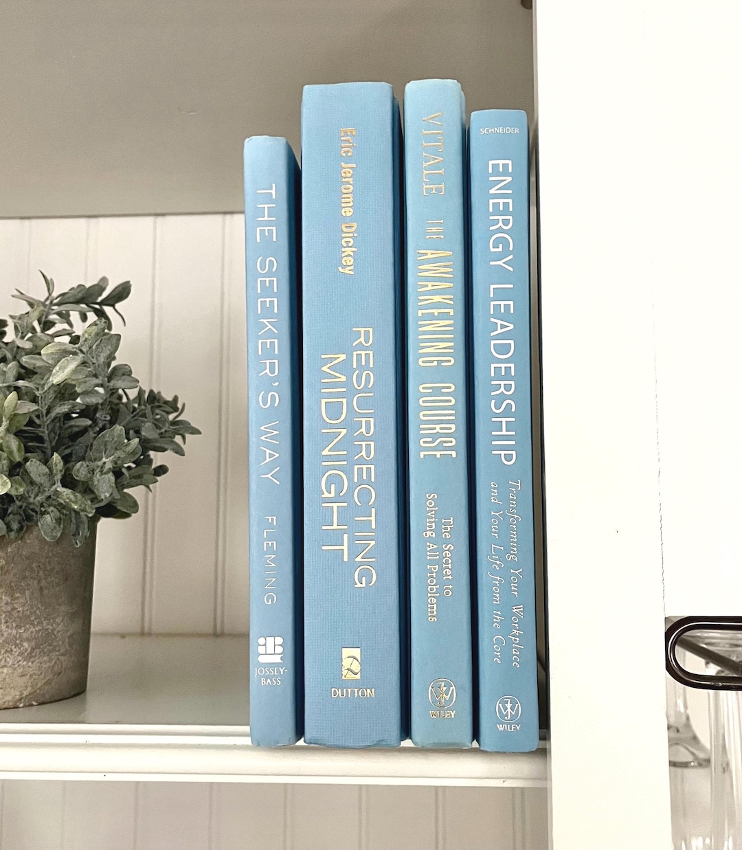Beautiful Sky Blue Books for Decor, Rare Color Set of 4 Hardcover Books ...
