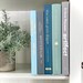 Bundle of Mixed Gray Teal/turquoise Books, Decorative Books, Bookshelf ...