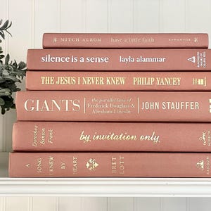 Rose Gold Books, Light Dusty Pink Decor, Pink Bedroom Book Decor, Home ...