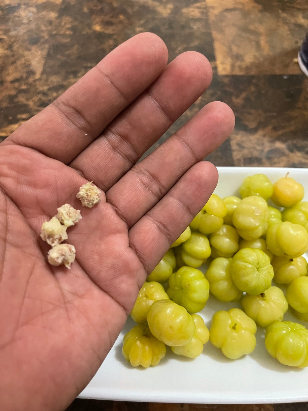 5 Star Gooseberry or Karamay Seeds - Etsy