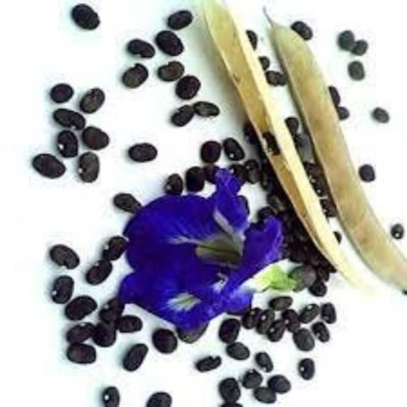Butterfly Seeds - Etsy