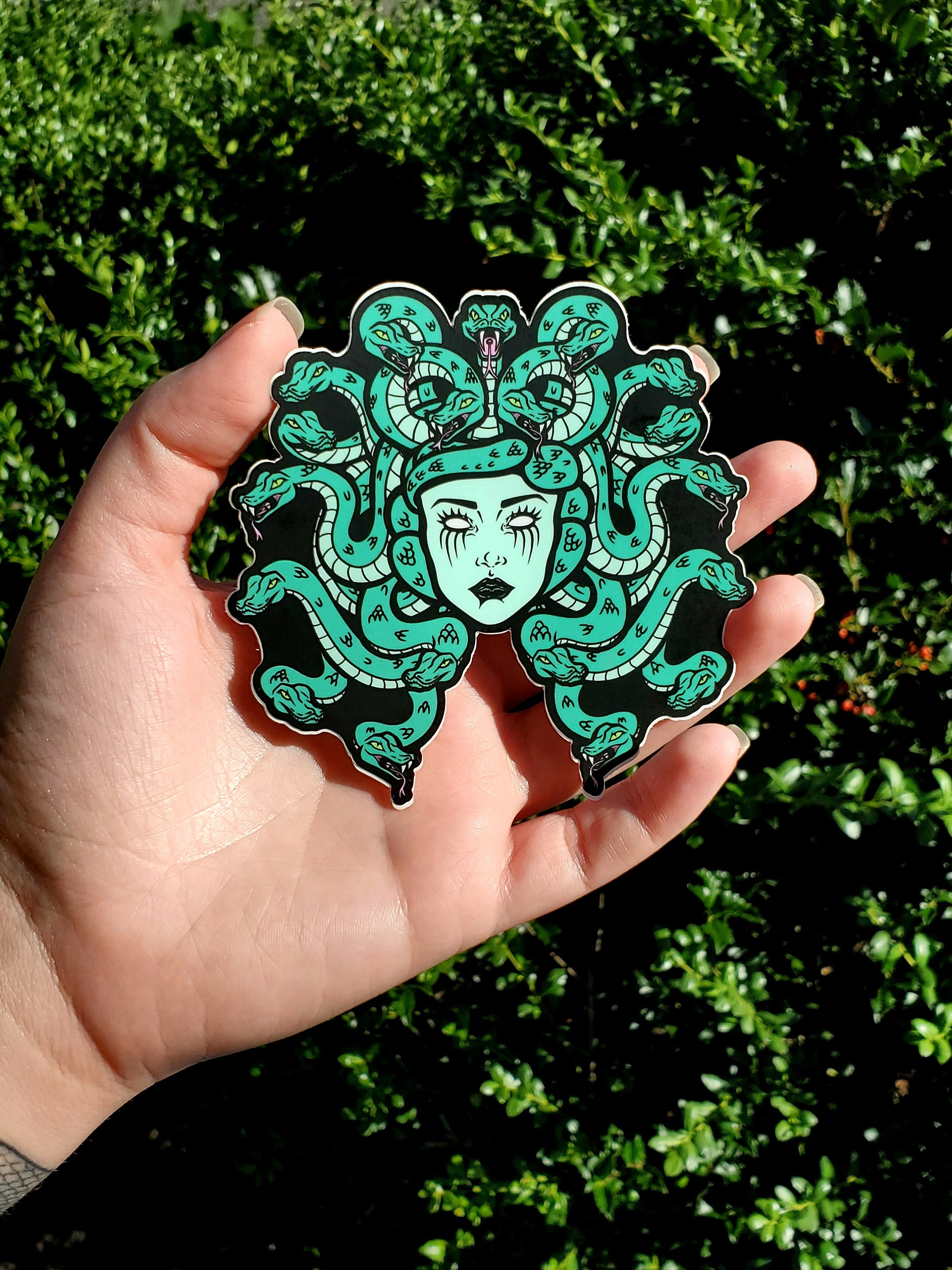 Medusa and Friends Matte Vinyl Sticker - Etsy