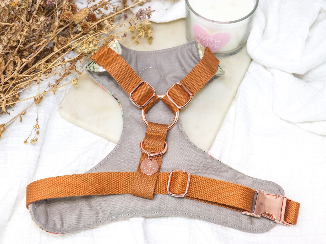 Fall Dog Chest Harness Orange and Olive Floral Pet Harness - Etsy