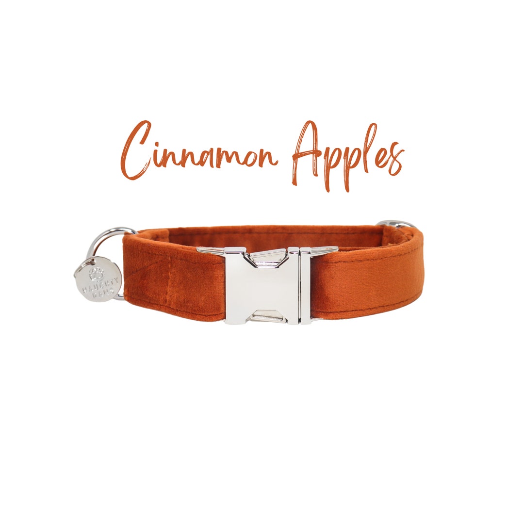 Velvet Dog Collar, Burnt Orange Neutral Dog Collar, Holiday Dog Collar ...